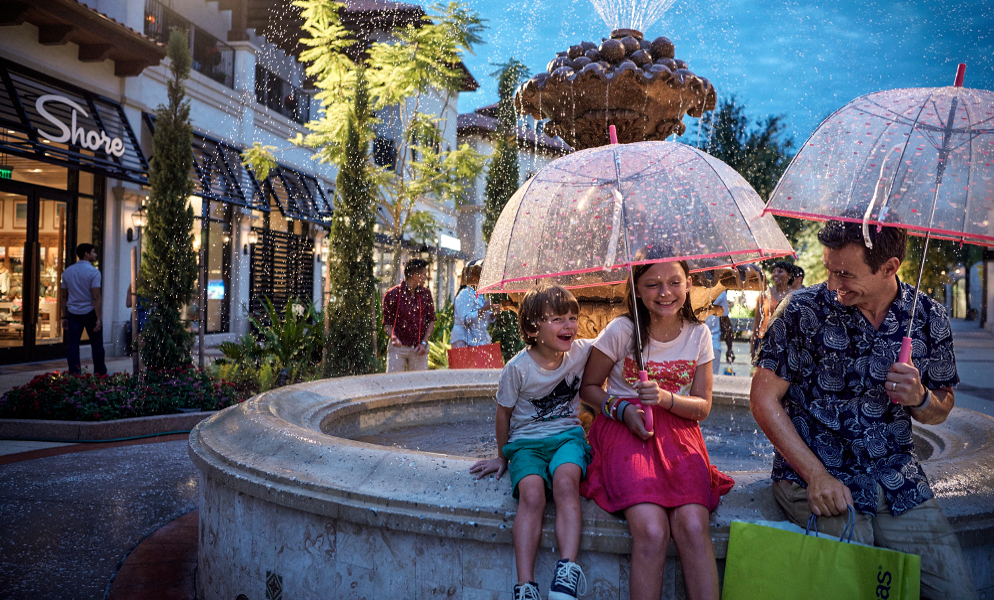 Disney World Florida: Water Parks and Other Attractions IE